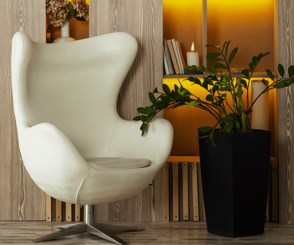 Affordable Modern Interior Design Ideas for Indian Homes